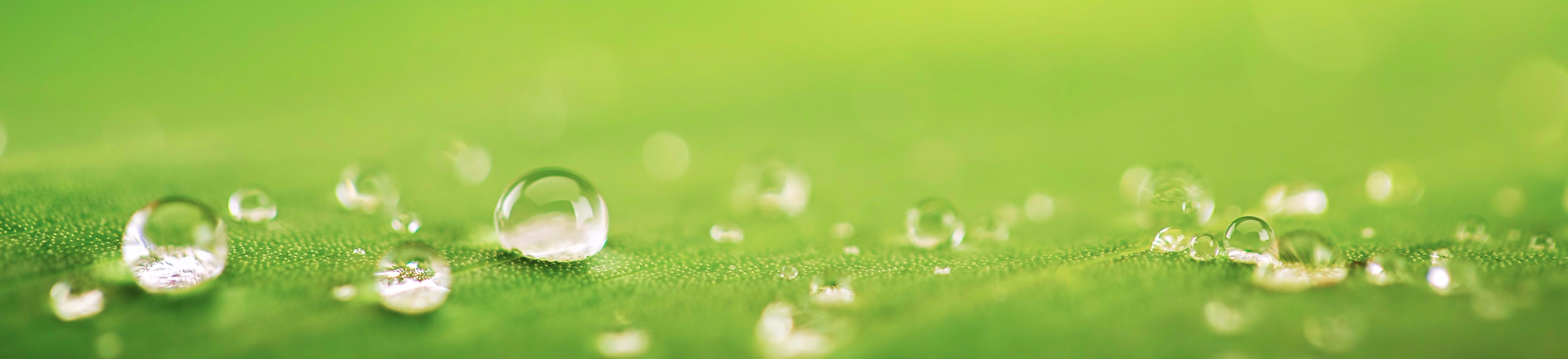 PrintMailPro's Green Initiative